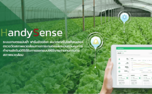 Home - Thailand PMU-B Coding & AI Academy